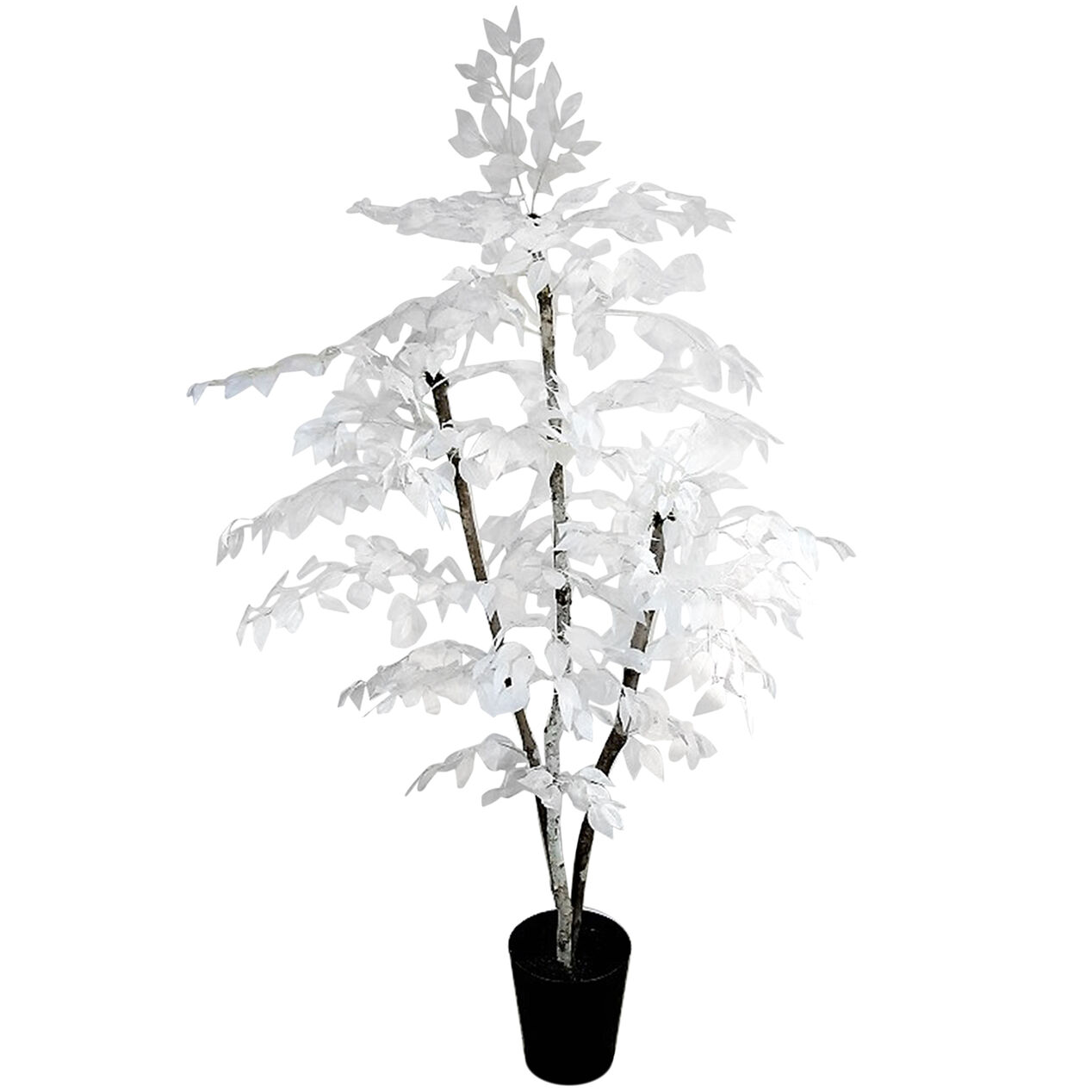 6.5 WHITE DESIGNER FICUS | At Home