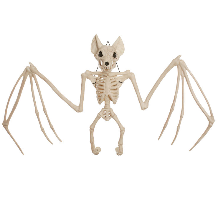 Halloween Skeletons | At Home